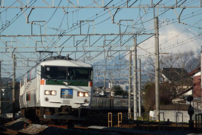 185系 の写真 |鉄道写真投稿サイトTrain-Directory