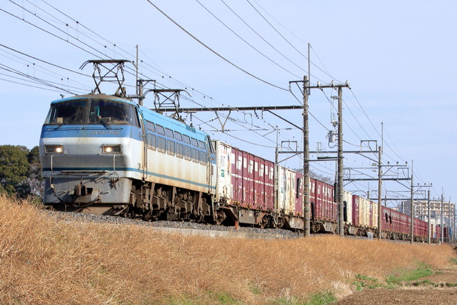 吹田機関区 EF66形 109 の写真 |鉄道写真投稿サイトTrain-Directory