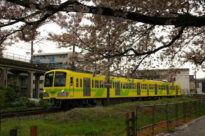 流山検車区 5000系 5005F の写真 |鉄道写真投稿サイトTrain-Directory