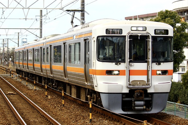 313系 の写真 |鉄道写真投稿サイトTrain-Directory