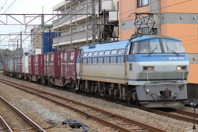 吹田機関区 EF66 109 の写真 |鉄道写真投稿サイトTrain-Directory