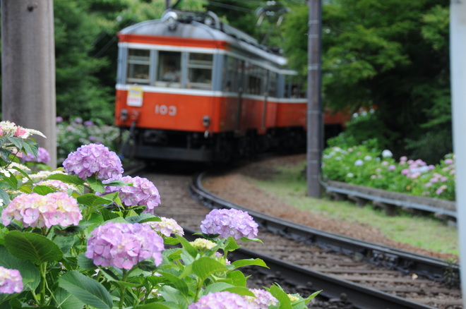 入生田検車区 モハ1形 103-107 の写真 |鉄道写真投稿サイトTrain-Directory