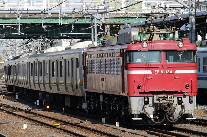長岡車両センター EF81 134 の写真 |鉄道写真投稿サイトTrain-Directory