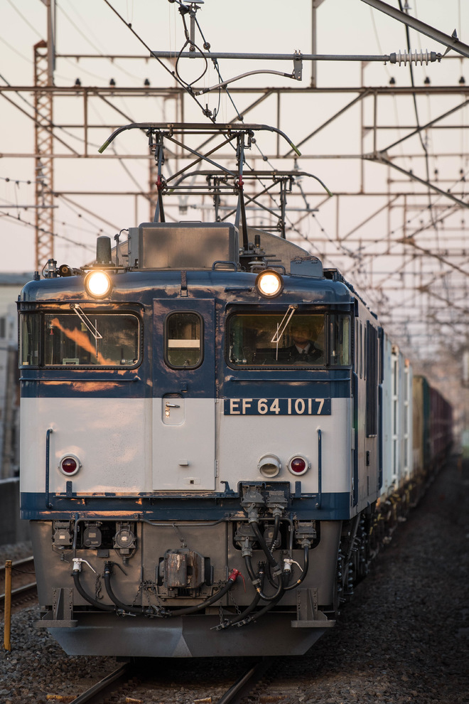 愛知機関区 EF64 1017 の写真 |鉄道写真投稿サイトTrain-Directory