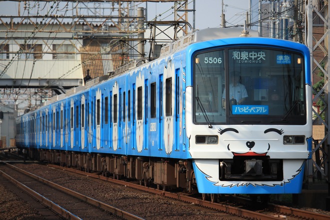 光明池車庫 5000系 5505F の写真 |鉄道写真投稿サイトTrain-Directory