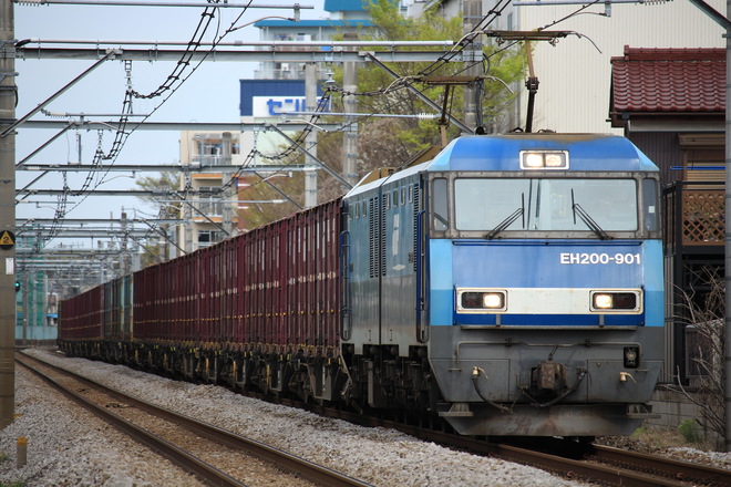 高崎機関区 EH200 901 の写真 |鉄道写真投稿サイトTrain-Directory