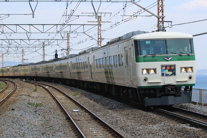 大宮総合車両センター本区 185系 OM08編成 の写真 |鉄道写真投稿サイトTrain-Directory