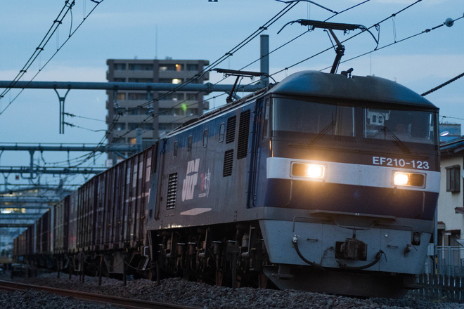 新鶴見機関区 EF210 123 の写真 |鉄道写真投稿サイトTrain-Directory