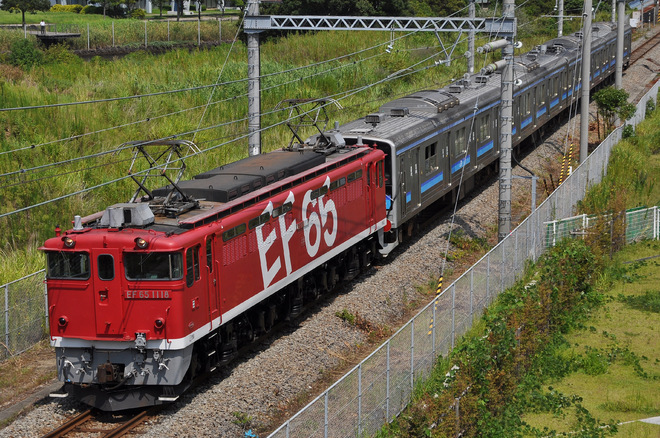 EF65 1118 の写真 |鉄道写真投稿サイトTrain-Directory