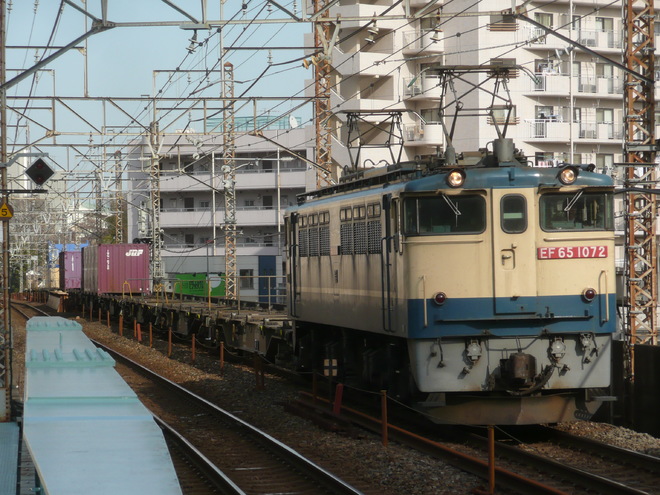 新鶴見機関区 EF65 1072 の写真 |鉄道写真投稿サイトTrain-Directory