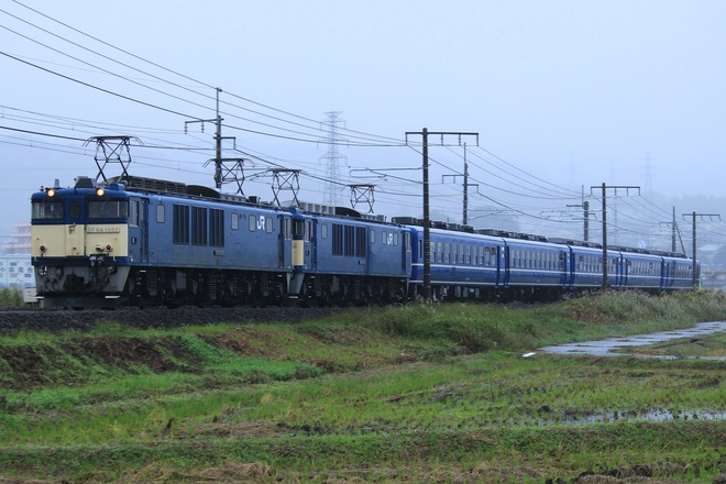 高崎車両センター EF64 1052 の写真 |鉄道写真投稿サイトTrain-Directory