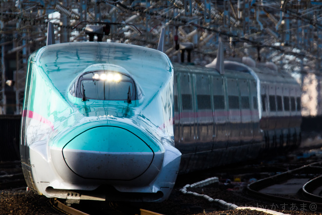新幹線総合車両センター E5系 U31編成 の写真 |鉄道写真投稿サイトTrain-Directory