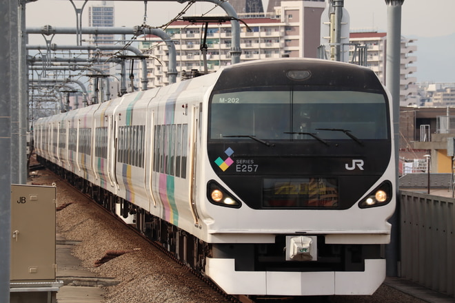 E257系 の写真 |鉄道写真投稿サイトTrain-Directory