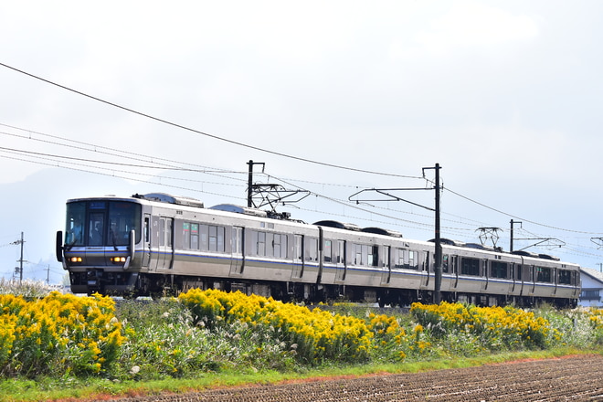 網干総合車両所本所 223系 V8編成 の写真 |鉄道写真投稿サイトTrain-Directory