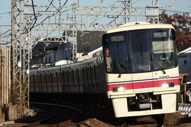 8000系 8733F の写真 |鉄道写真投稿サイトTrain-Directory