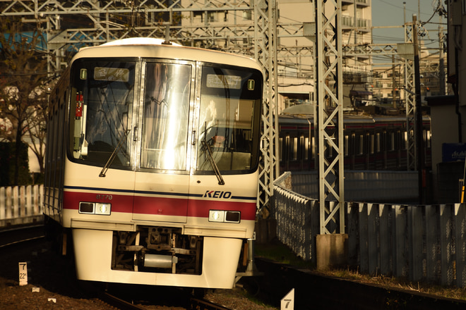 8000系 8729F の写真 |鉄道写真投稿サイトTrain-Directory