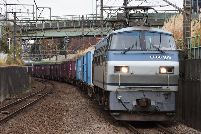 EF66 109 の写真 |鉄道写真投稿サイトTrain-Directory
