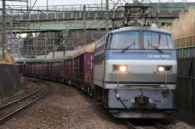 EF66 109 の写真 |鉄道写真投稿サイトTrain-Directory