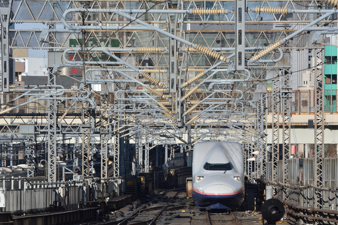 新潟新幹線車両センター E4系 P12編成 の写真 |鉄道写真投稿サイトTrain-Directory