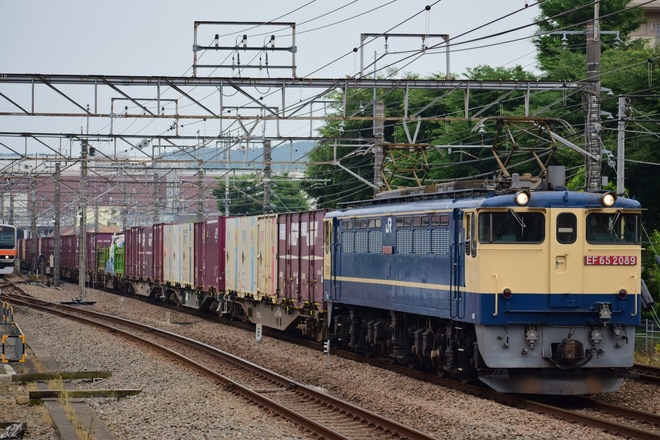 新鶴見機関区 EF65 2089 の写真 |鉄道写真投稿サイトTrain-Directory