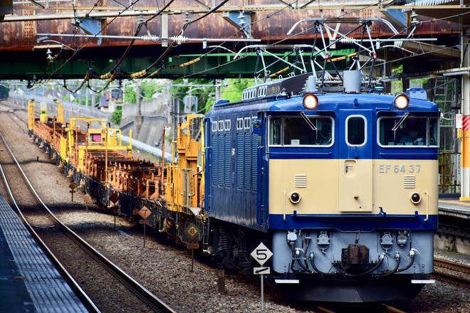 高崎機関区 EF64 37 の写真 |鉄道写真投稿サイトTrain-Directory