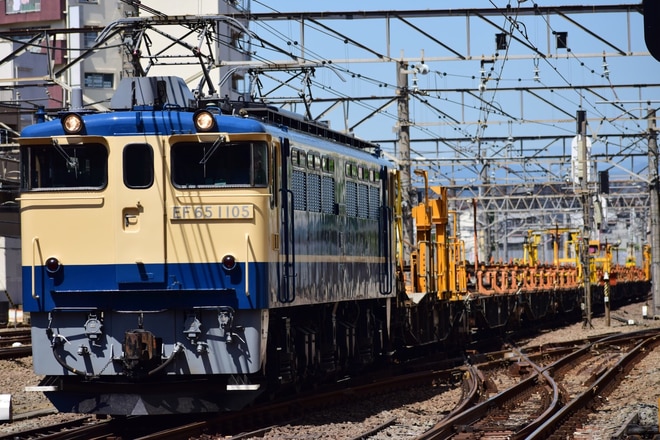 田端運転所 EF65 1105 の写真 |鉄道写真投稿サイトTrain-Directory