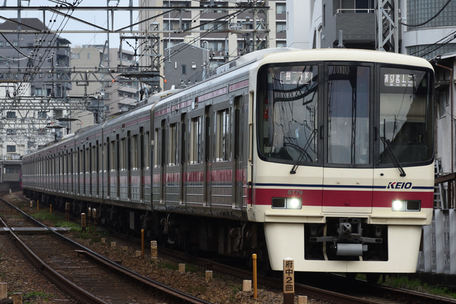 8000系 8729F の写真 |鉄道写真投稿サイトTrain-Directory