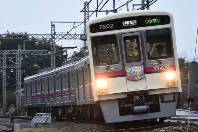 7000系 7802F の写真 |鉄道写真投稿サイトTrain-Directory