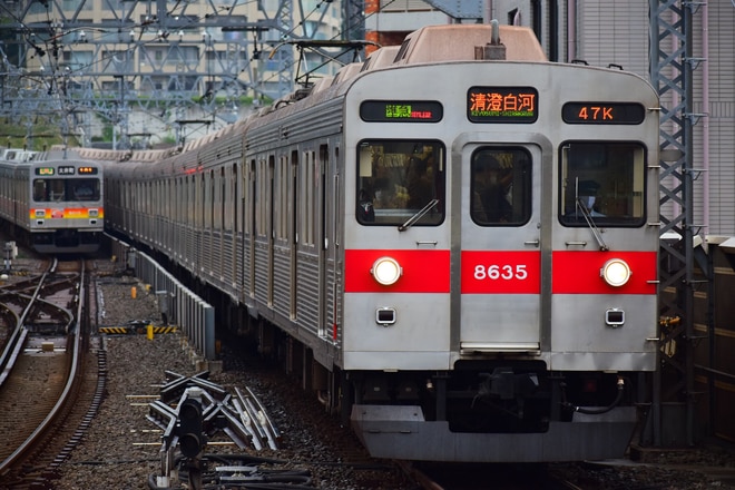 長津田検車区 8500系 8635F の写真 |鉄道写真投稿サイトTrain-Directory