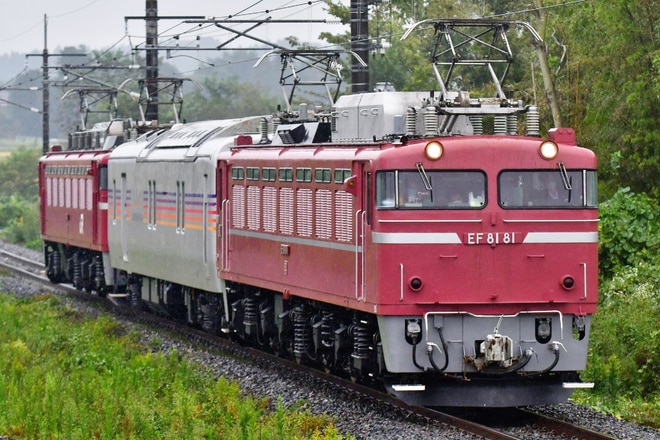 田端運転所 EF81 81 の写真 |鉄道写真投稿サイトTrain-Directory