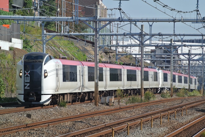 259系 の写真 |鉄道写真投稿サイトTrain-Directory