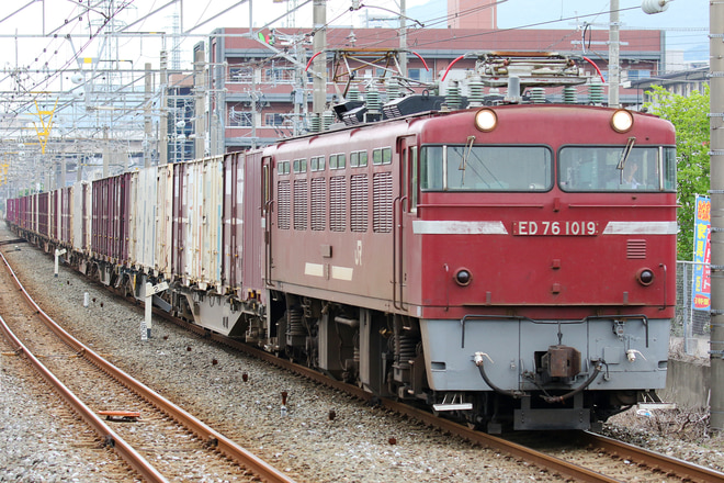 ED76 1019 の写真 |鉄道写真投稿サイトTrain-Directory