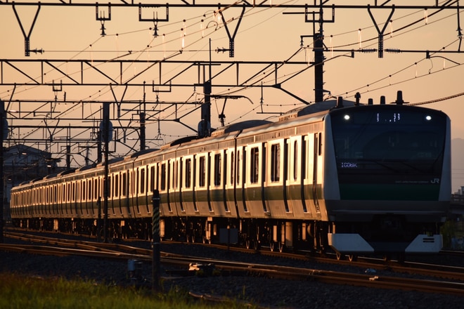 川越車両センター E233系 ハエ130編成 の写真 |鉄道写真投稿サイトTrain-Directory