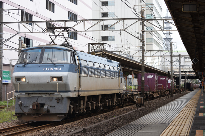 EF66 129 の写真 |鉄道写真投稿サイトTrain-Directory