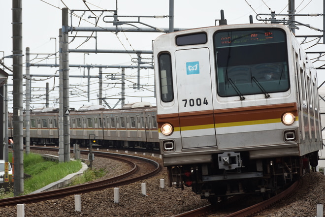7000系 7104F の写真 |鉄道写真投稿サイトTrain-Directory