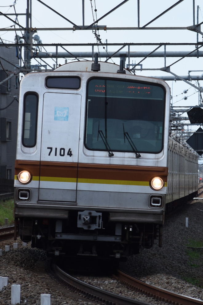 7000系 7104F の写真 |鉄道写真投稿サイトTrain-Directory