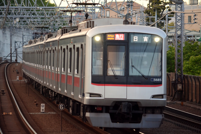 元住吉検車区 5080系 5185F の写真 |鉄道写真投稿サイトTrain-Directory