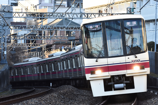 8000系 8733F の写真 |鉄道写真投稿サイトTrain-Directory