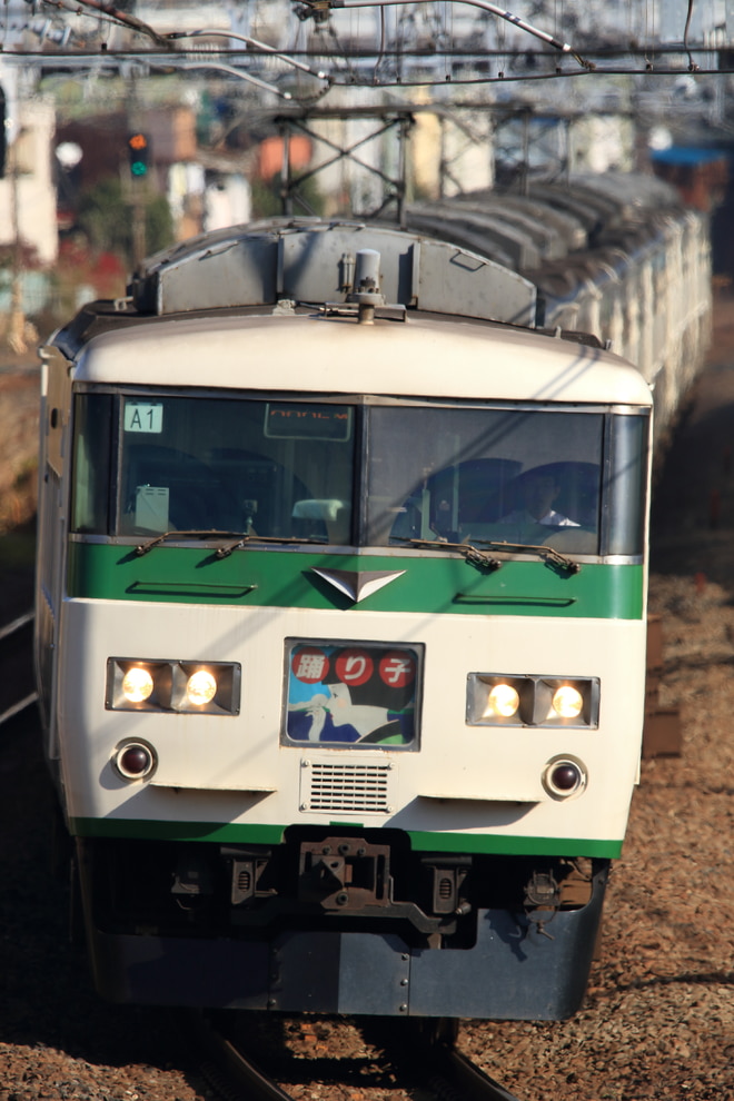 大宮総合車両センター東大宮センター 185系 オオA1編成 の写真 |鉄道写真投稿サイトTrain-Directory