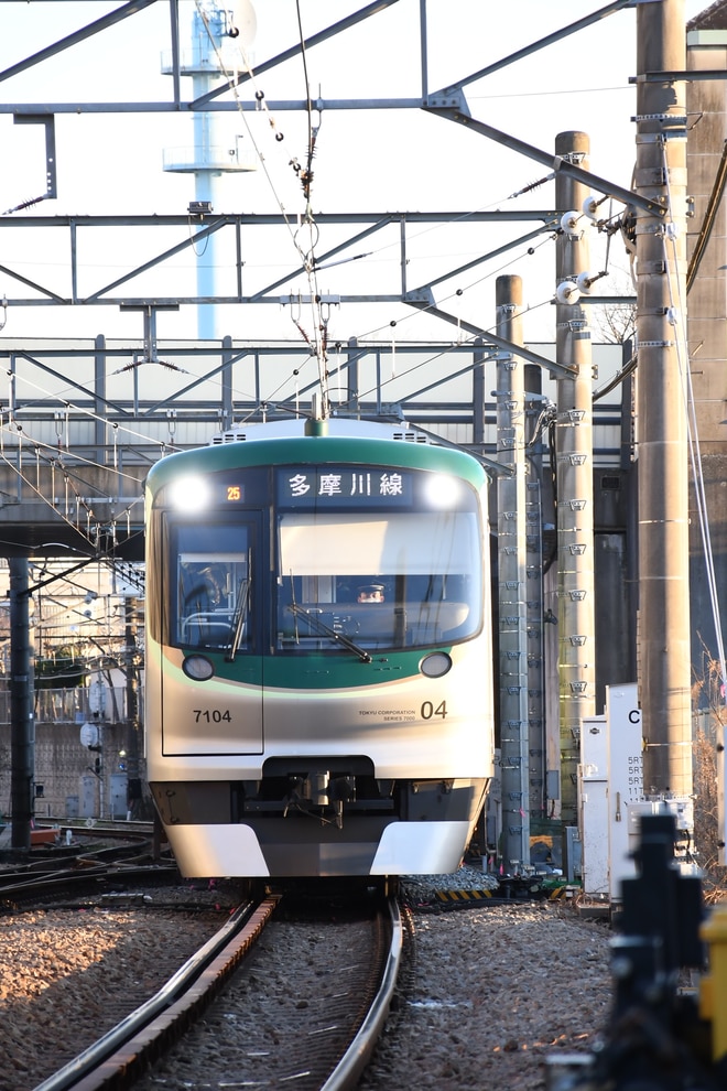 雪が谷検車区 7000系 7104F の写真 |鉄道写真投稿サイトTrain-Directory