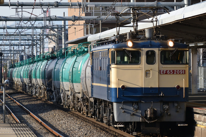 新鶴見機関区 EF65 2091 の写真 |鉄道写真投稿サイトTrain-Directory
