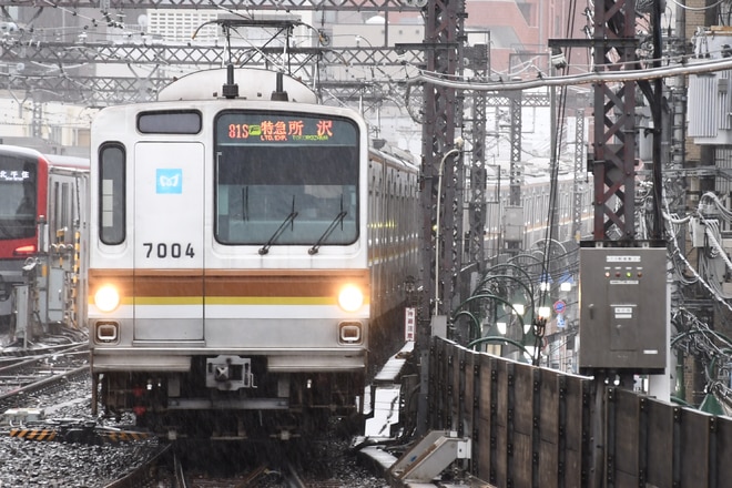 7000系 7104F の写真 |鉄道写真投稿サイトTrain-Directory