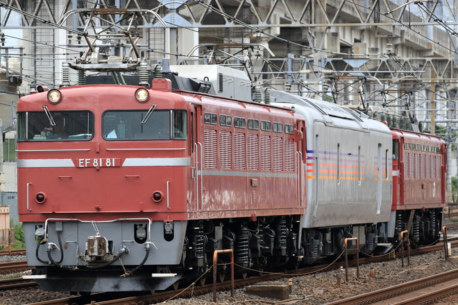 田端運転所 EF81 81 の写真 |鉄道写真投稿サイトTrain-Directory