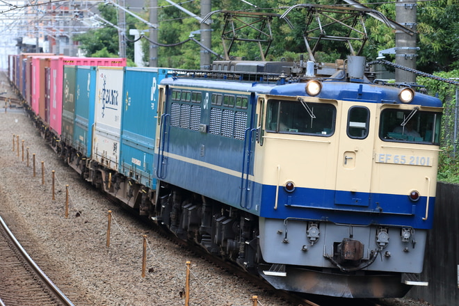 新鶴見機関区 EF65 2101 の写真 |鉄道写真投稿サイトTrain-Directory