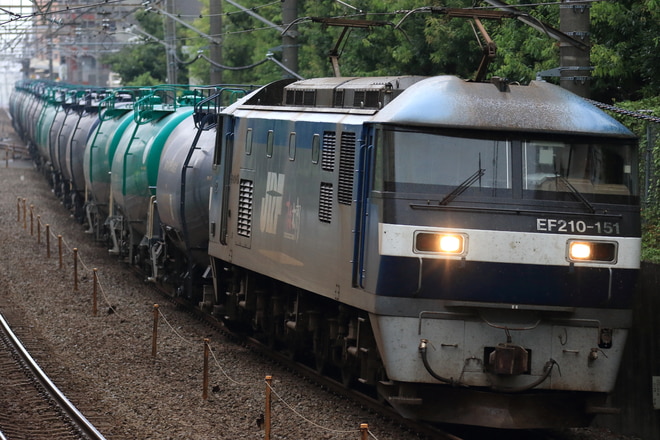 新鶴見機関区 EF210 151 の写真 |鉄道写真投稿サイトTrain-Directory