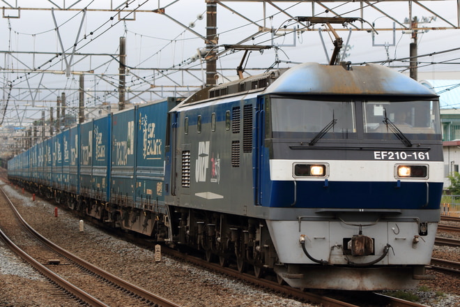 新鶴見機関区 EF210 161 の写真 |鉄道写真投稿サイトTrain-Directory