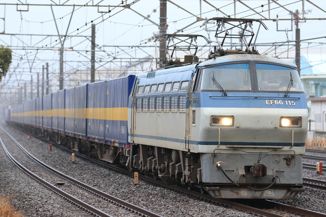 吹田機関区 EF66 115 の写真 |鉄道写真投稿サイトTrain-Directory