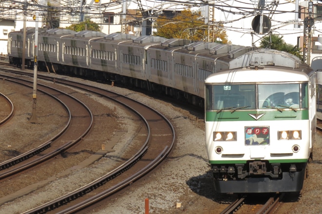 185系 の写真 |鉄道写真投稿サイトTrain-Directory