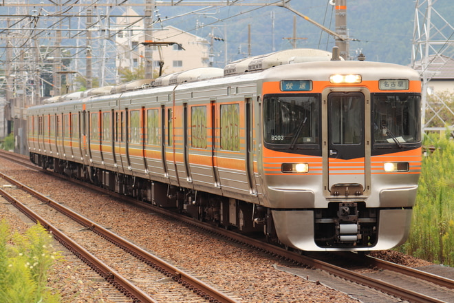 313系8000番台 の写真 |鉄道写真投稿サイトTrain-Directory