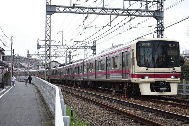 8000系 8729F の写真 |鉄道写真投稿サイトTrain-Directory